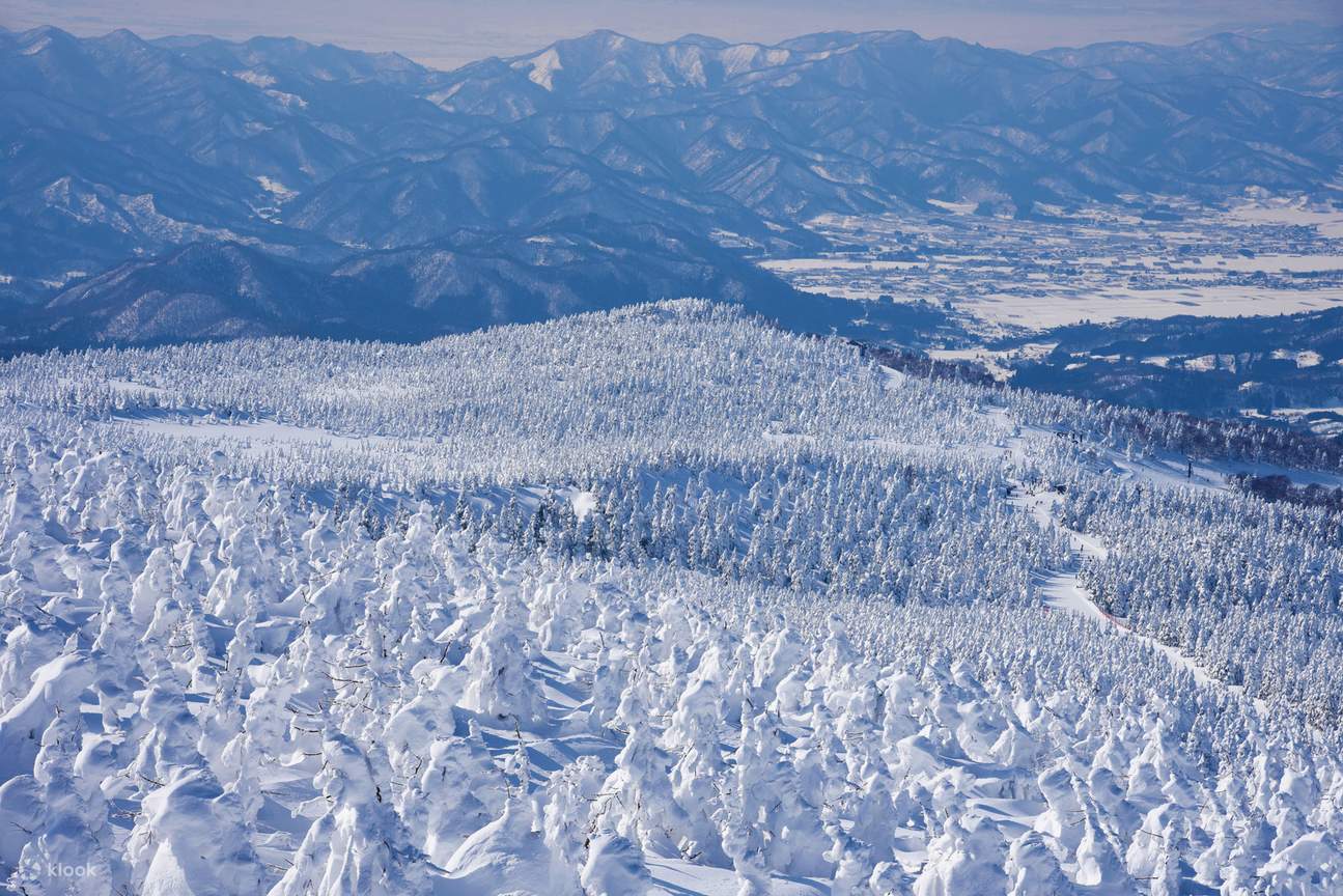 [Tohoku Day Trip] Ginzan Onsen & Zao Snow Monsters & Special Lunch ...